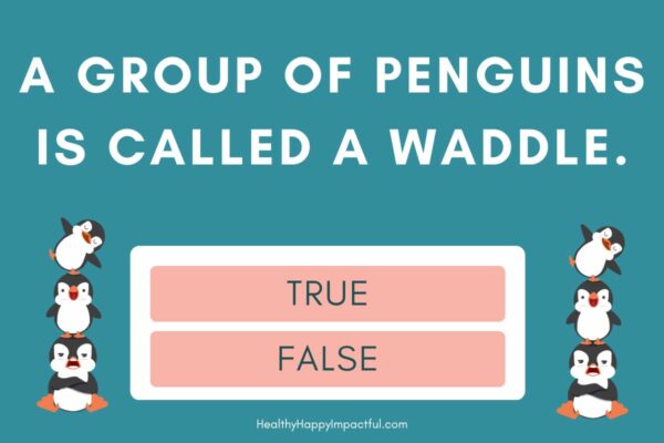 200 Fun True or False Questions For Kids (With Answers In 2025)