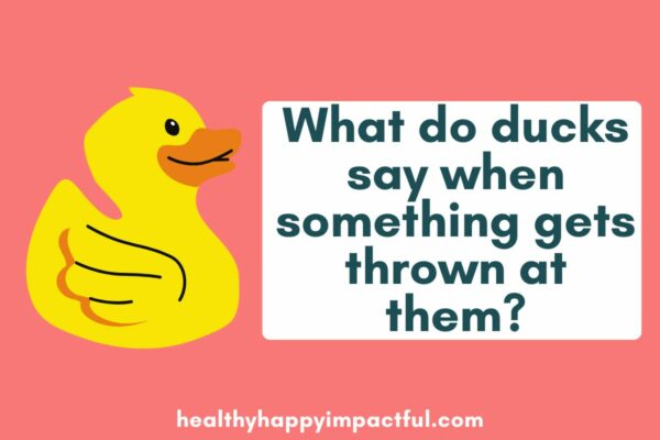 250 Funny Duck Jokes & Farmyard Jokes (To Keep You Laughing)