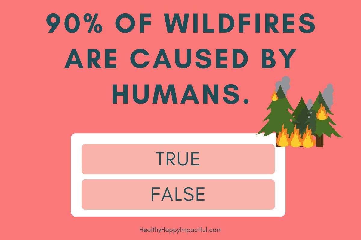 200 Fun True or False Questions For Kids (With Answers In 2025)