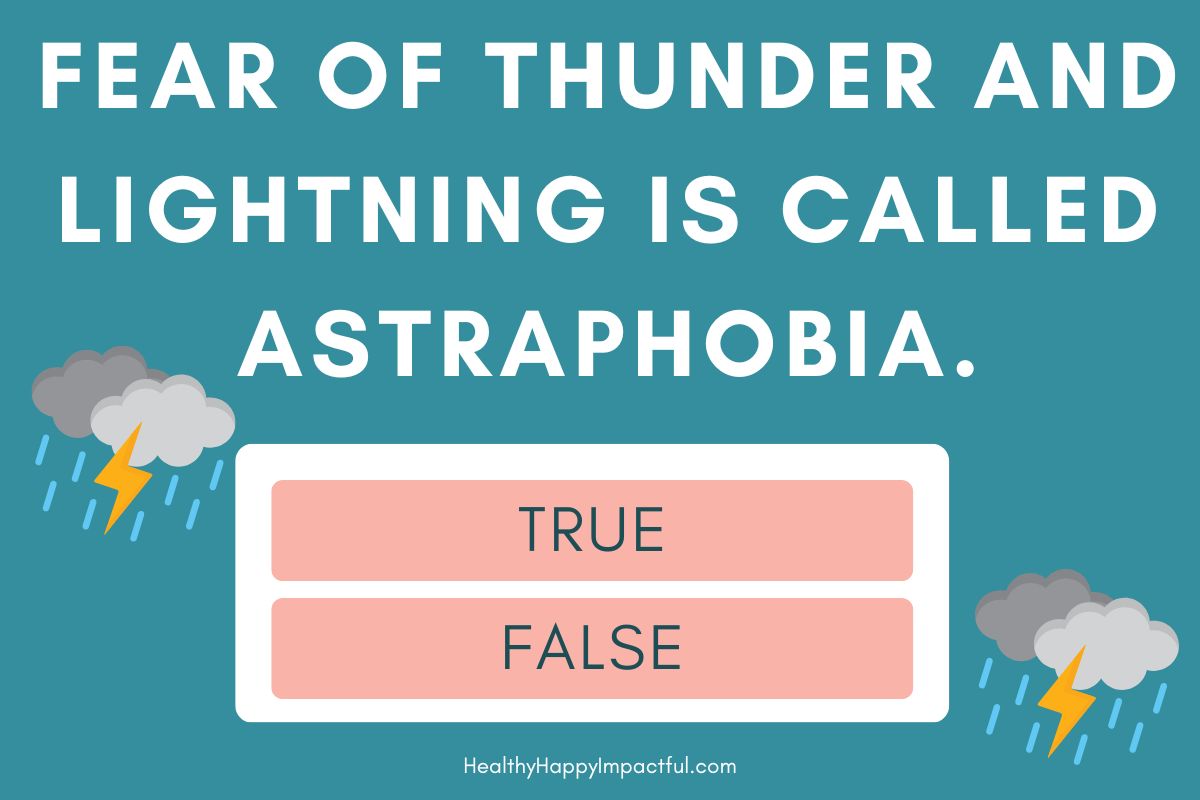 200 Fun True or False Questions For Kids (With Answers In 2023)