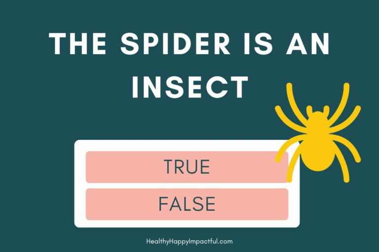 200 Fun True or False Questions For Kids (With Answers In 2025)