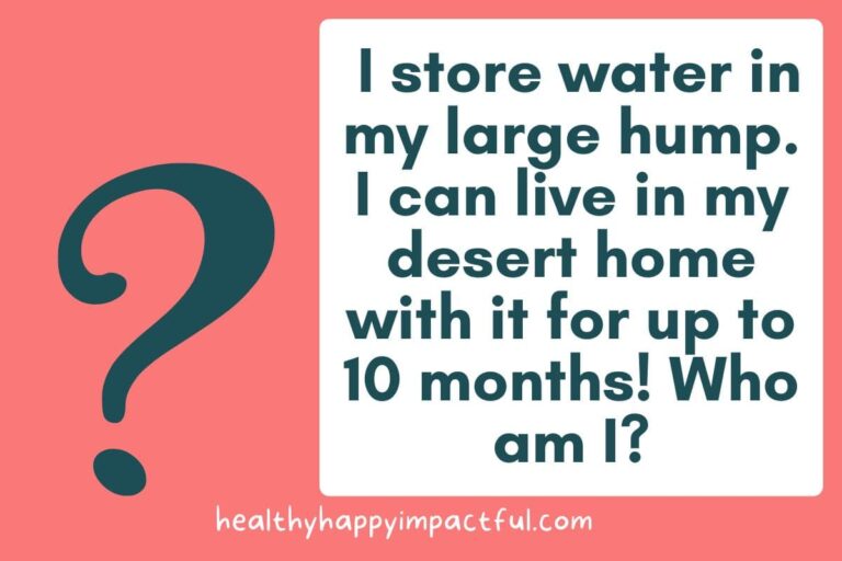 100 Fun 'Who Am I' Riddles With Answers (Kids & Adults) 2025