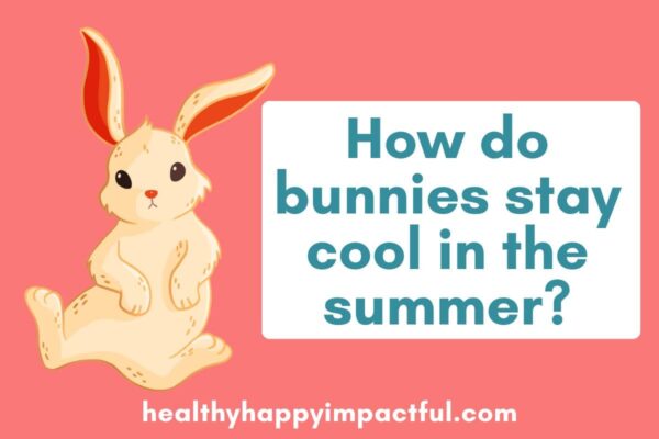 100 Funny Bunny Rabbit Jokes, Riddles, & Puns (For Kids) 2025