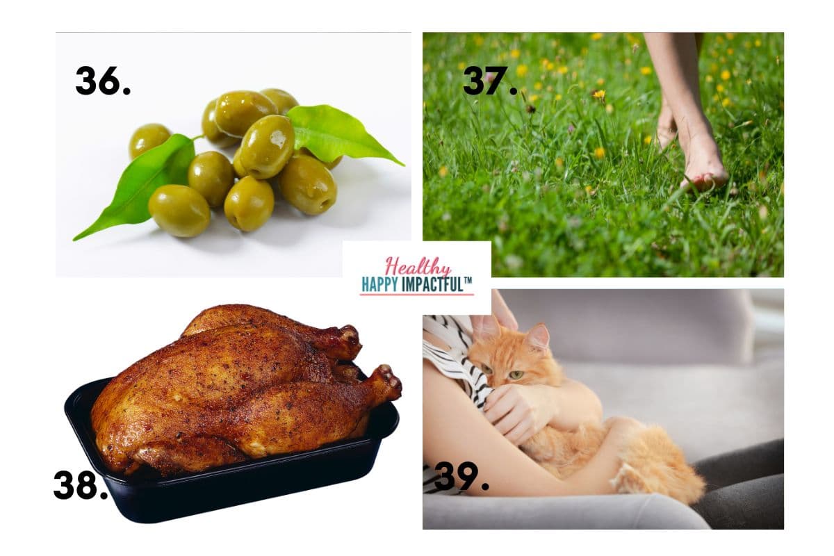 110 June Trivia Questions and Fun Facts With Answers (2024)