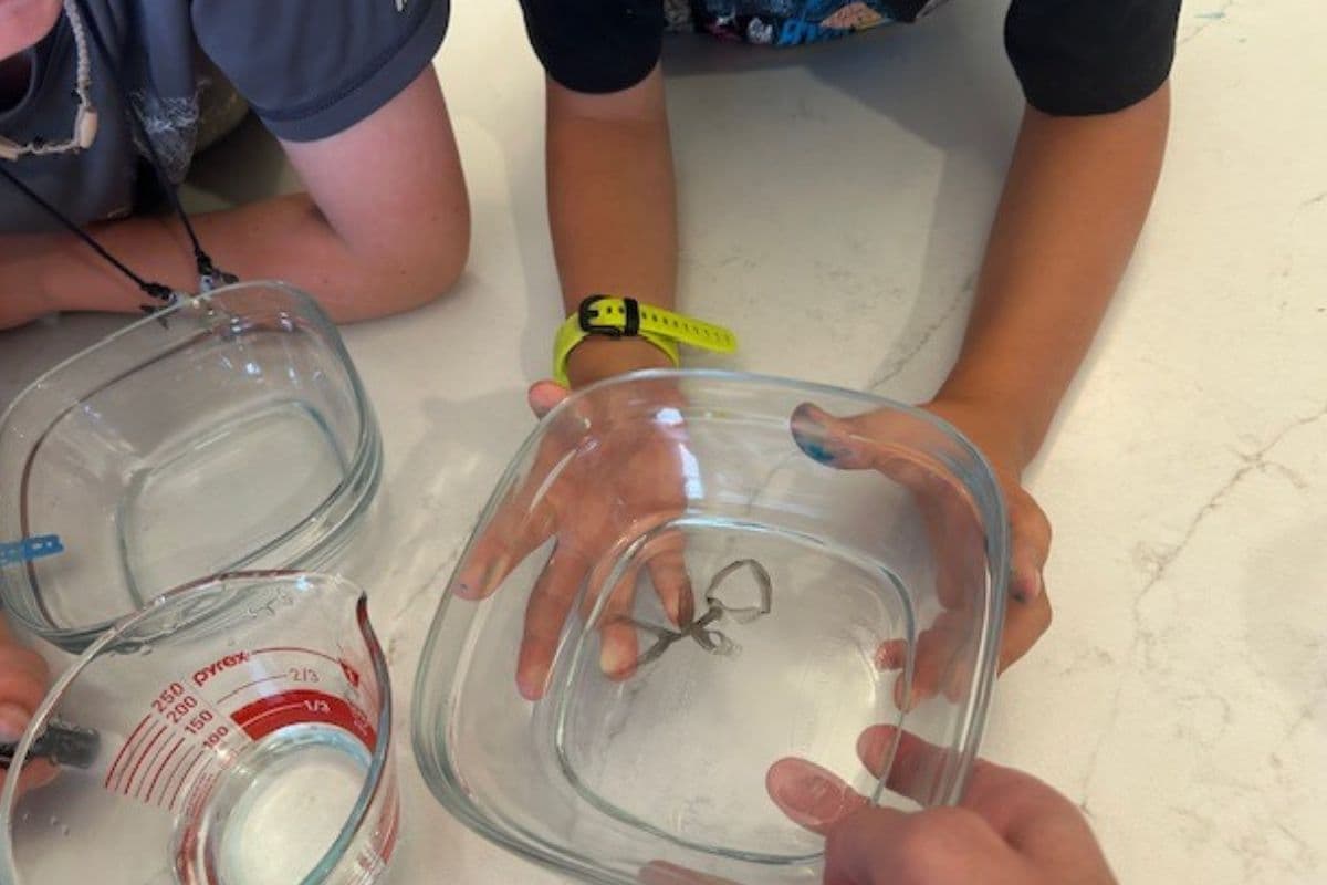 20 Easy And Fun Science Experiments For Kids Of All Ages in 2025