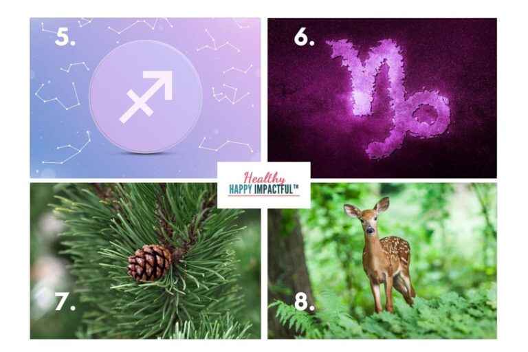 100 December Trivia Questions (Do You Know These Fun Facts?) 2024